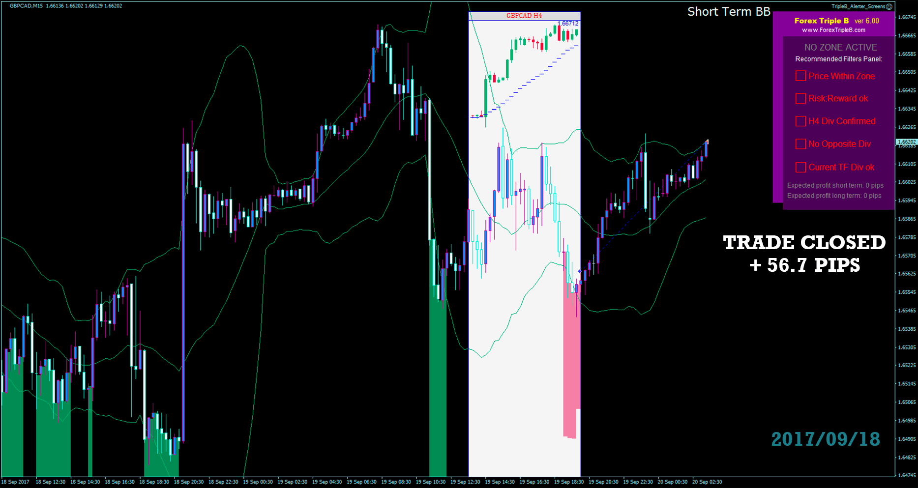 Forex Triple B | Home